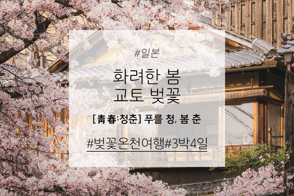 ⭐모객중⭐화려한 봄 교토 벚꽃 온천여행 3박 4일 가족여행온천여행벚꽃일본