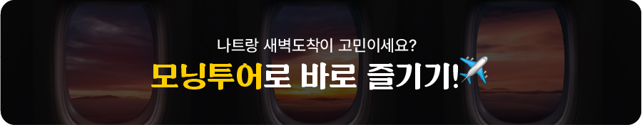 나트랑 빈원더스 Qr 티켓 입장권 빈펄랜드 케이블카 고카트 하버