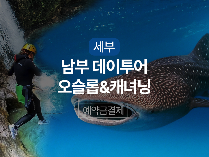 필리핀 세부 고래상어투말록캐녀닝 프라이빗 남부투어