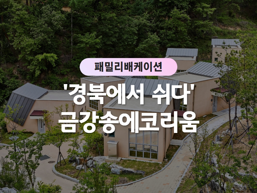 [울진 1박2일/리무진] 울진 금강송 에코리움&영주 무섬마을 힐링 여행