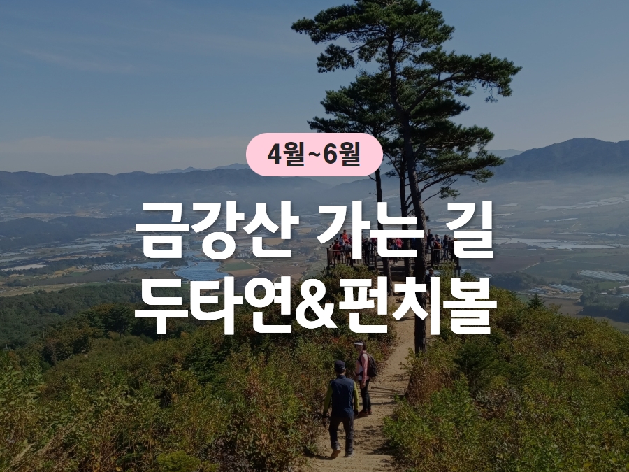 당일리무진 │금강산 가는길 테마노선 │두타연│ 펀치볼 둘레길🌼 야생화 트레킹 강원양구