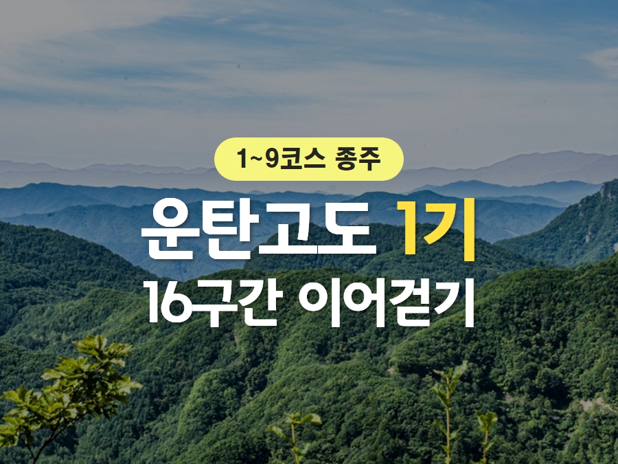 당일1기 운탄고도1330 트레킹 1~9코스 종주 이어걷기 강원태백