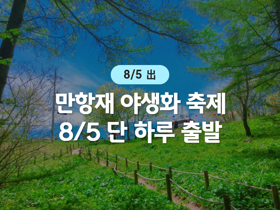 ★마감★ 85 出 고한 함백산 야생화축제 운탄고도 만항재 트레킹🌼 강원정선