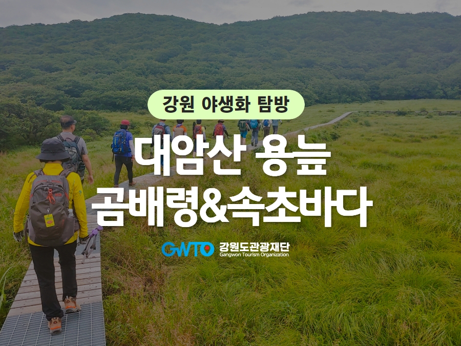 월별 시즌여행 시원하게 떠나는 여름 트레킹and산행│승우여행사