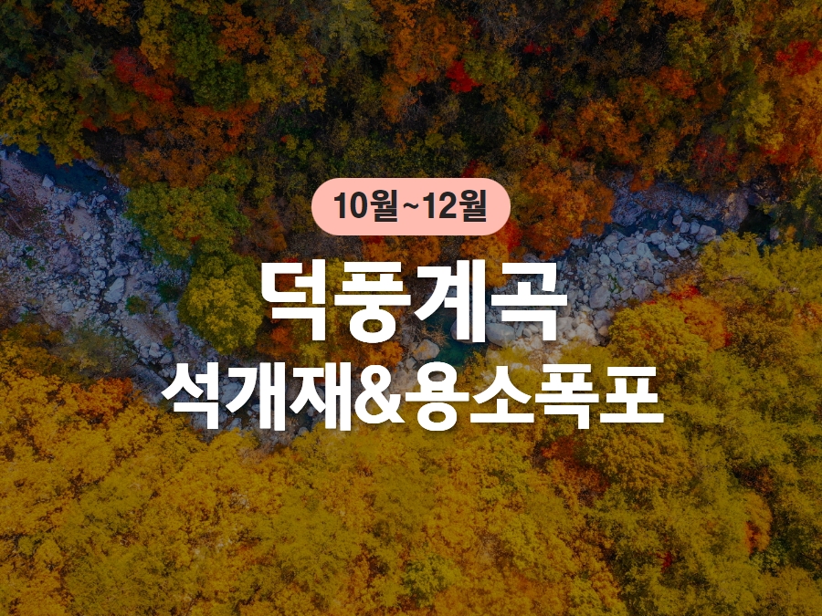 당일 단풍 맛집 석개재 And 덕풍계곡 트레킹 강원도 단풍 여행강원삼척