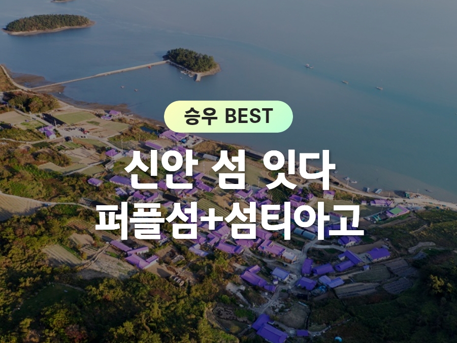 신안1박2일리무진 섬여행 반월도and박지도 퍼플섬 요트 섬티아고 12사도 순례길 전남신안