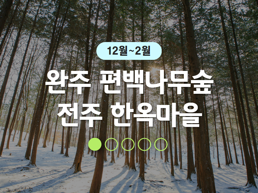 당일 전주 한옥마을 And 상관편백숲 피톤치드 힐링 트레킹 전주완주