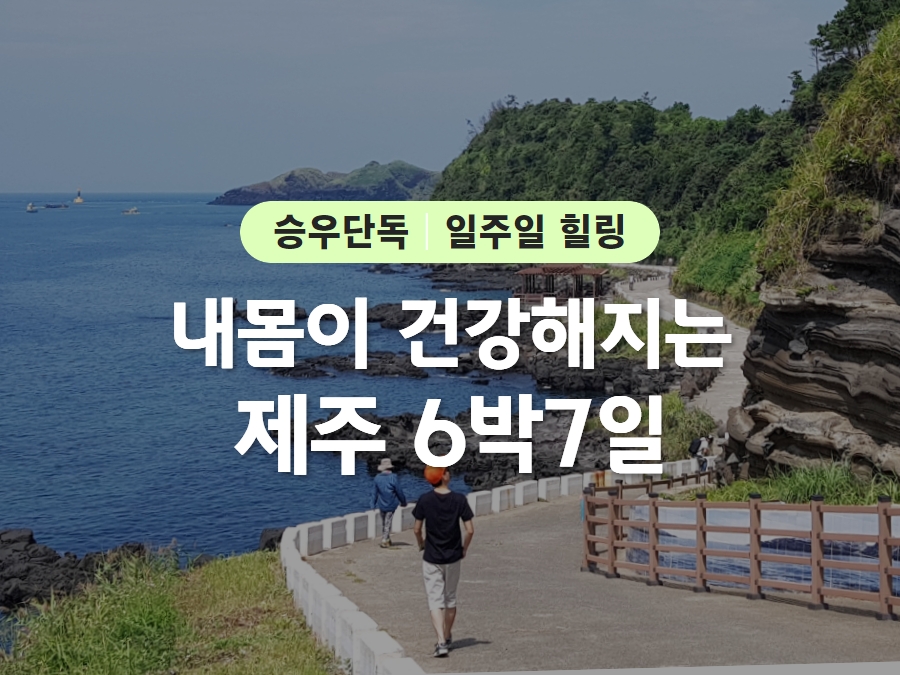 6박7일제주도승우단독 제주 일주일살기 힐링 여행 위호텔 서귀포 치유의숲 제주도 숲체험