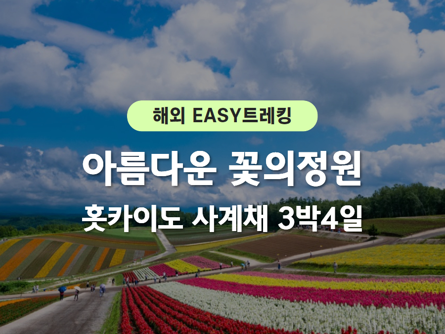 서울출발3박4일 일본 이지 트레킹 오색꽃이 만발 아름다운 꽃길 홋카이도 사계채