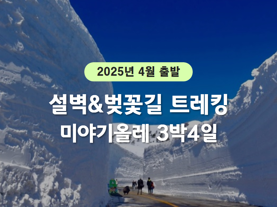 도호쿠여행 미야기편 3박4일 1년에 한번 출발 12미터 자오설벽 걷고 센본자쿠라 벚꽃길 산책 미야기올레
