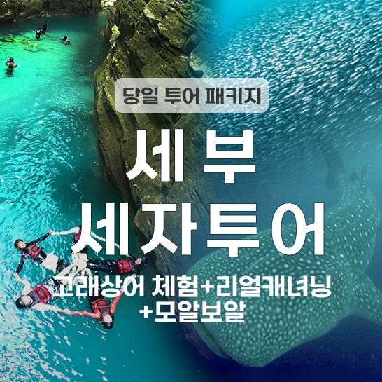 세자투어 필리핀 세부 오슬롭 리얼캐녀닝 모알보알 투어