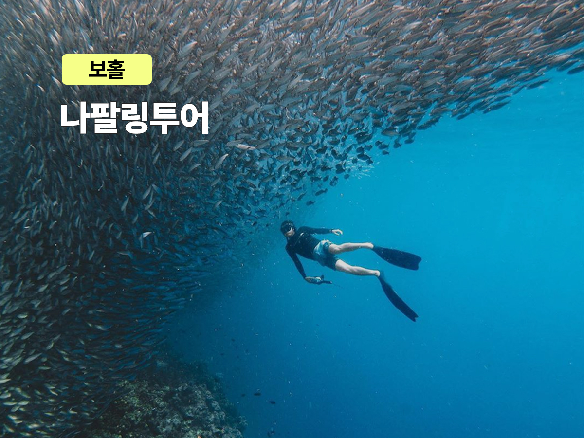 나팔링 투어 (Napaling Tour)