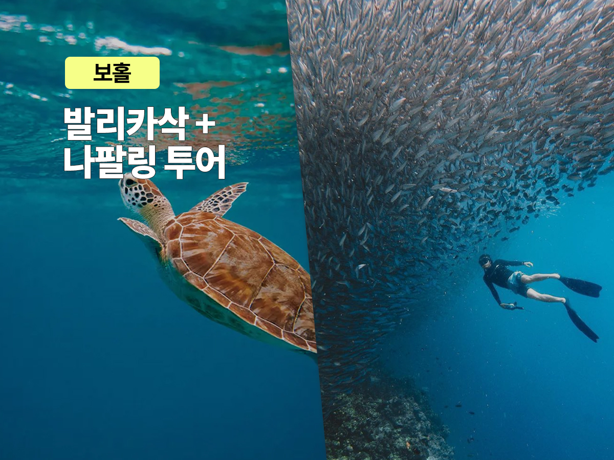 발리카삭+나팔링 투어 (Balicasag+Napaling Tour)