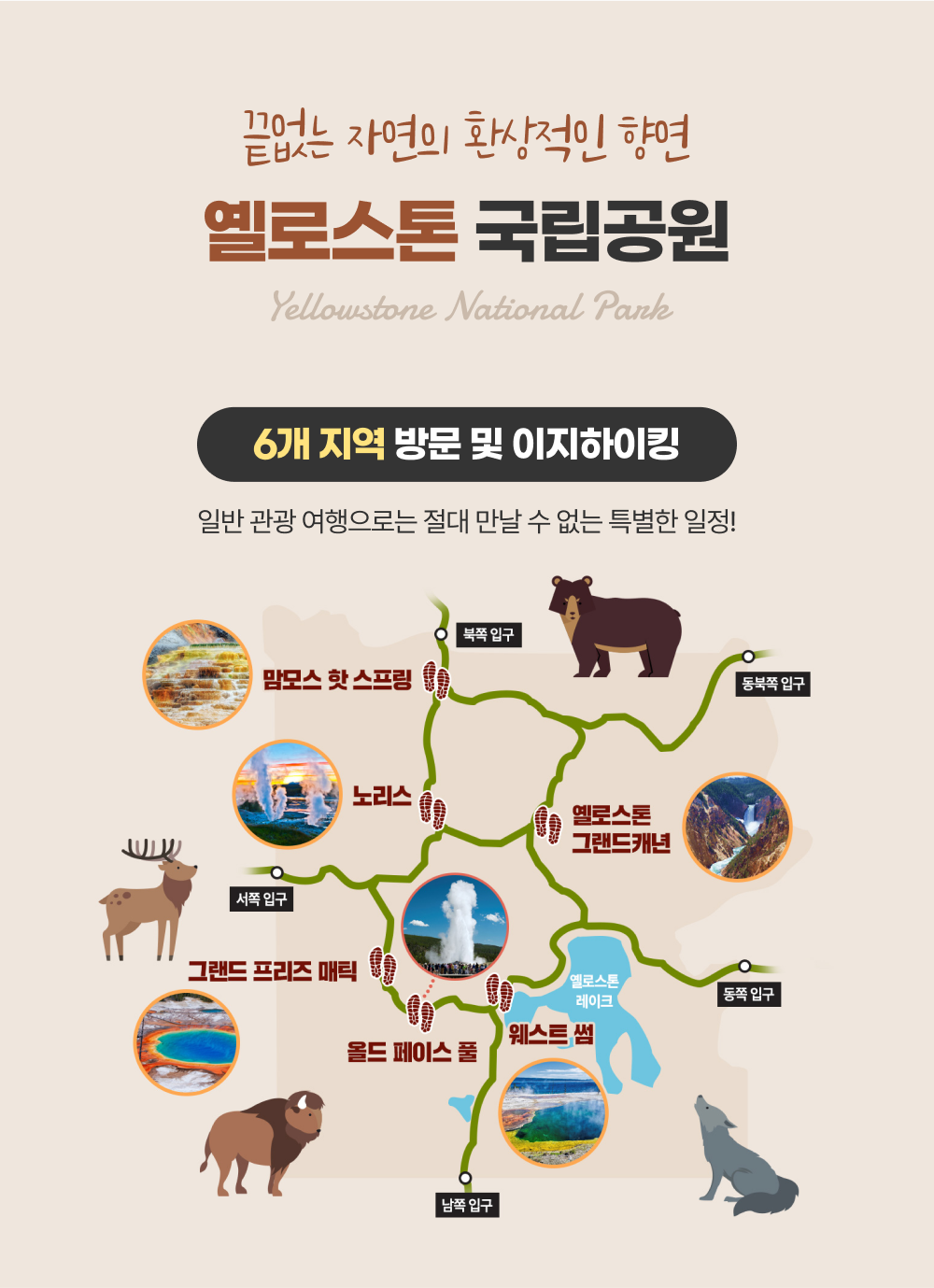 캠핑카투어 옐로스톤 And 그랜드티턴 8일 2707 부터