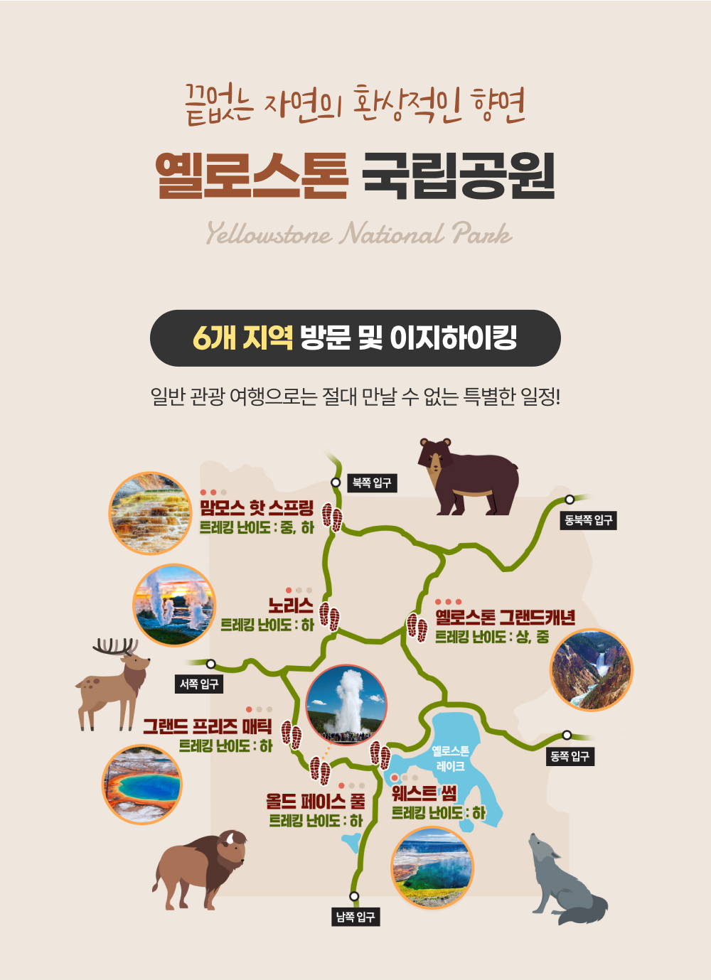 옐로스톤 And 그랜드티턴 캠핑카투어 8일