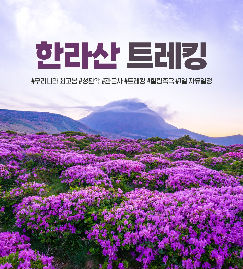 한라산 여행 제주 3일 우리나라최고봉 성판악 Or 관음사 힐링족욕 트레킹